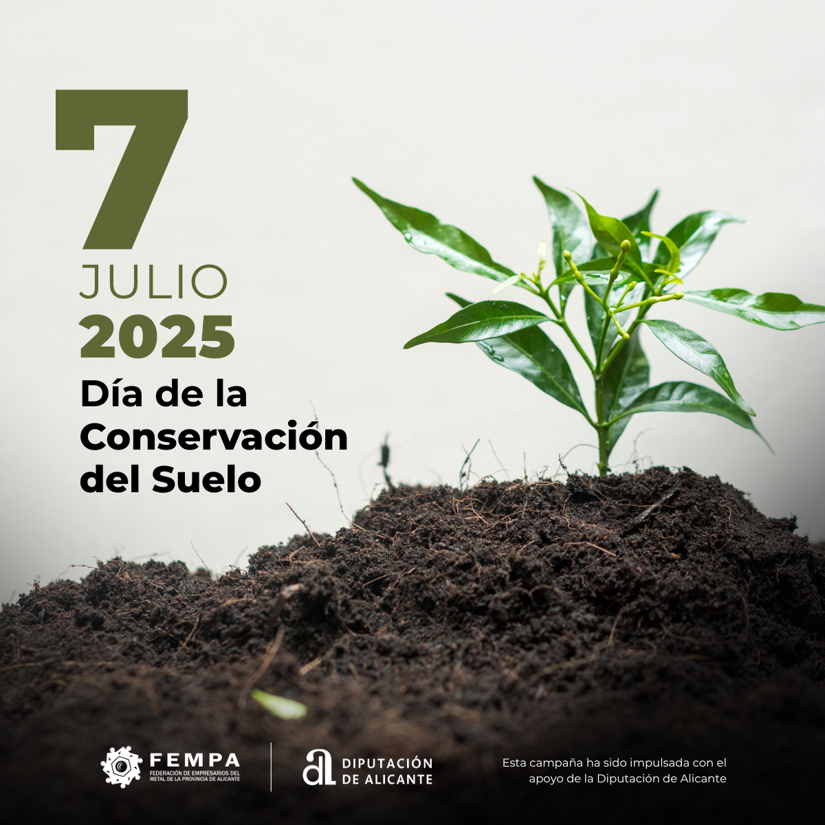 Empresas responsables: en el Día de la Conservación del Suelo, un compromiso con los ODS - Fempa